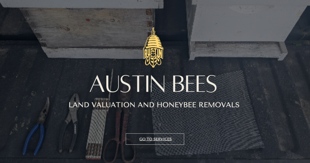 Austin Bees